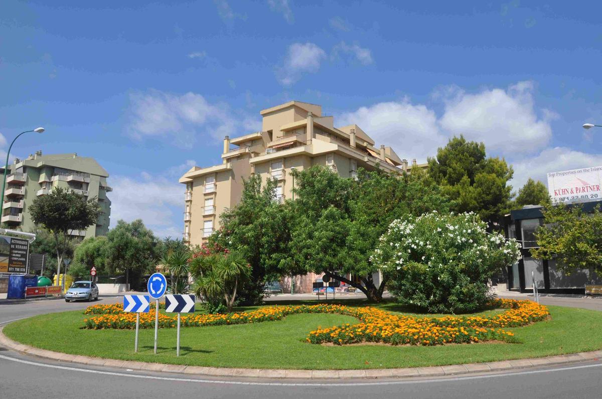 La Palma de los propietarios y la Palma de los inquilinos: consulta los barrios con más pisos ...