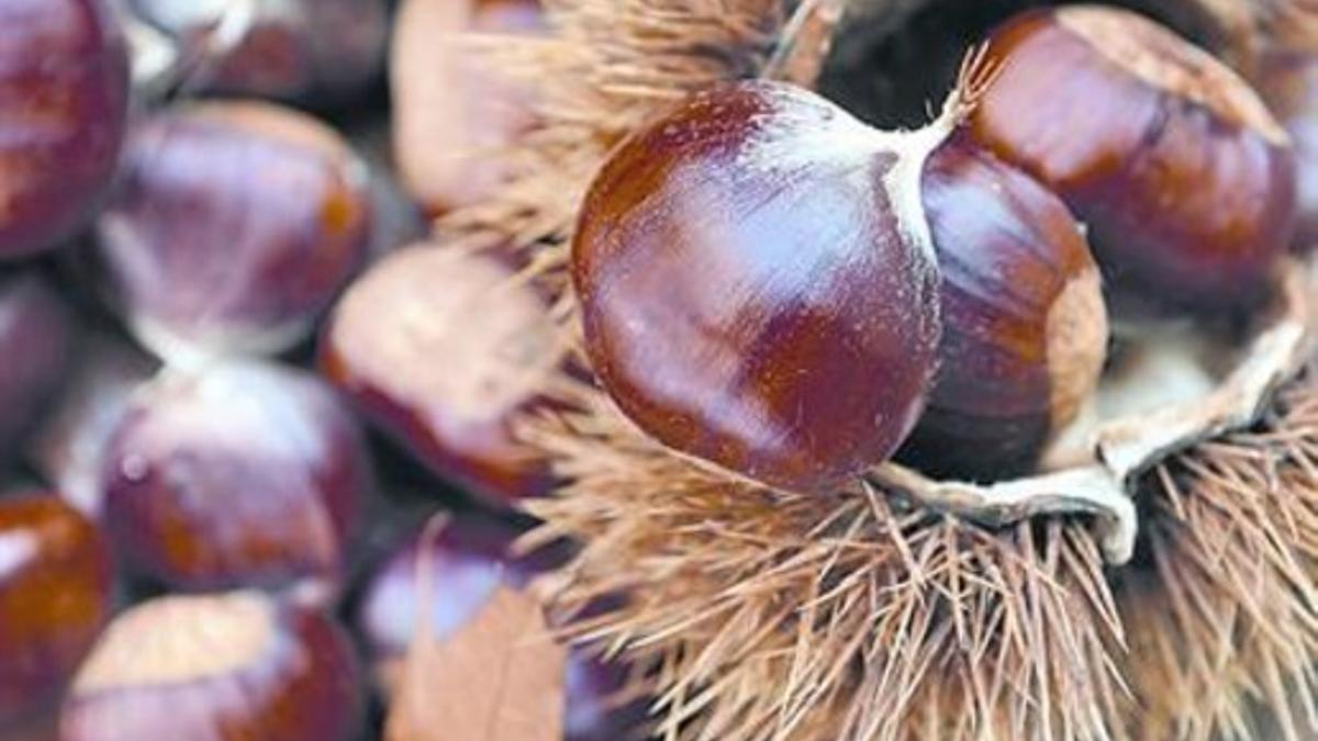 El ritual de las castañas