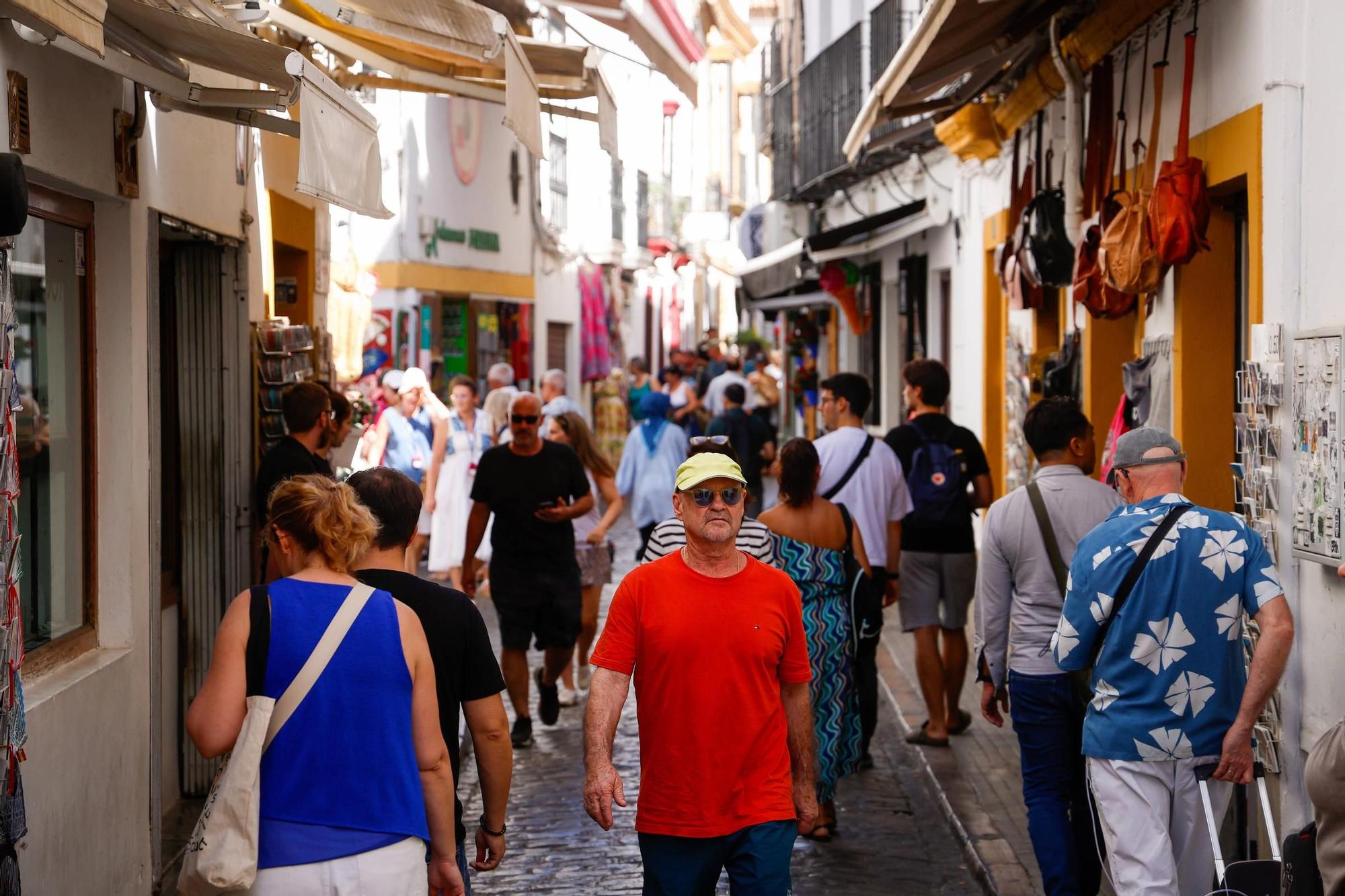 Guía de la Fiesta de los Patios de Córdoba 2026