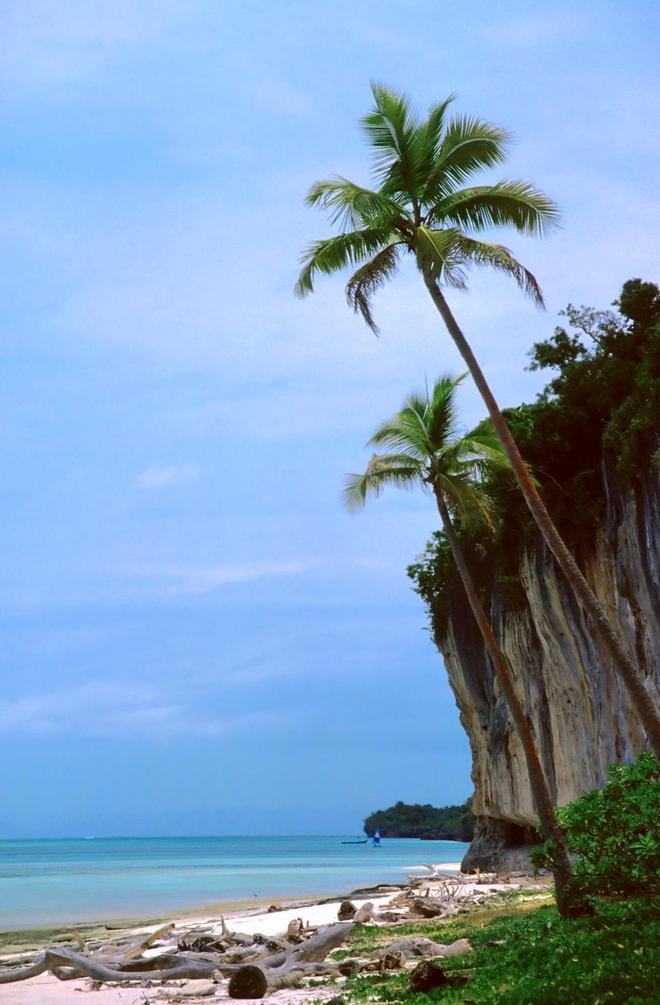 Vacaciones remotas: cinco islas de Oceanía para que nadie te encuentre ...