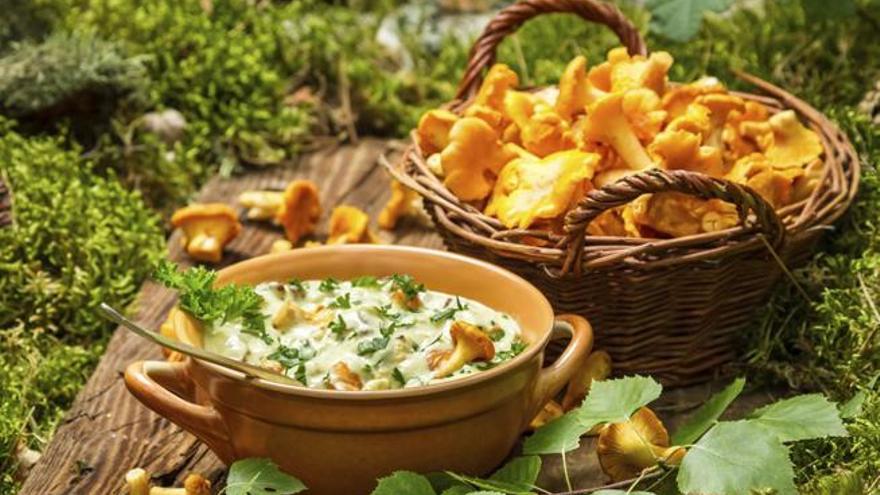 Temporada de setas: recetas ricas y sencillas