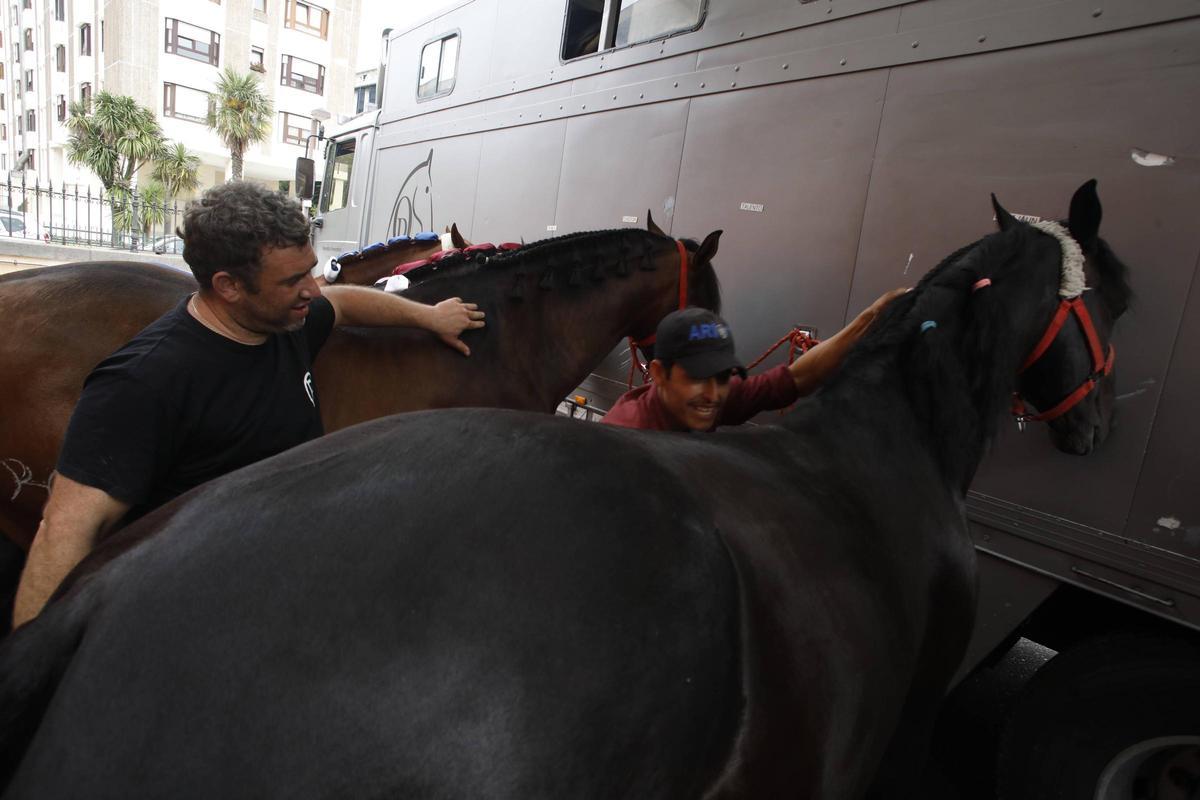 Así se preparan los caballos de rejoneo para torear (en imágenes)