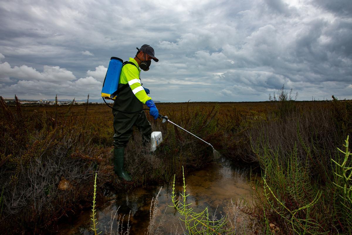 La multinacional Rentokil compra la firma alicantina de control de ...
