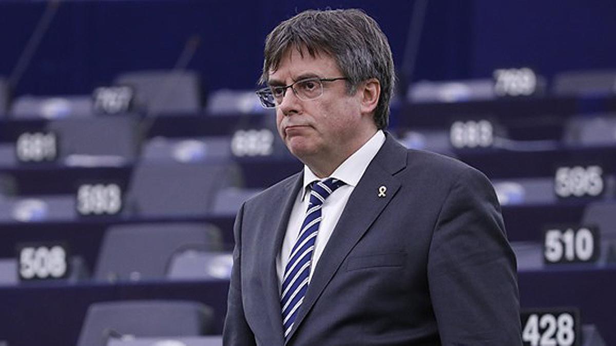 Amnistía: Lo que mande puchimón