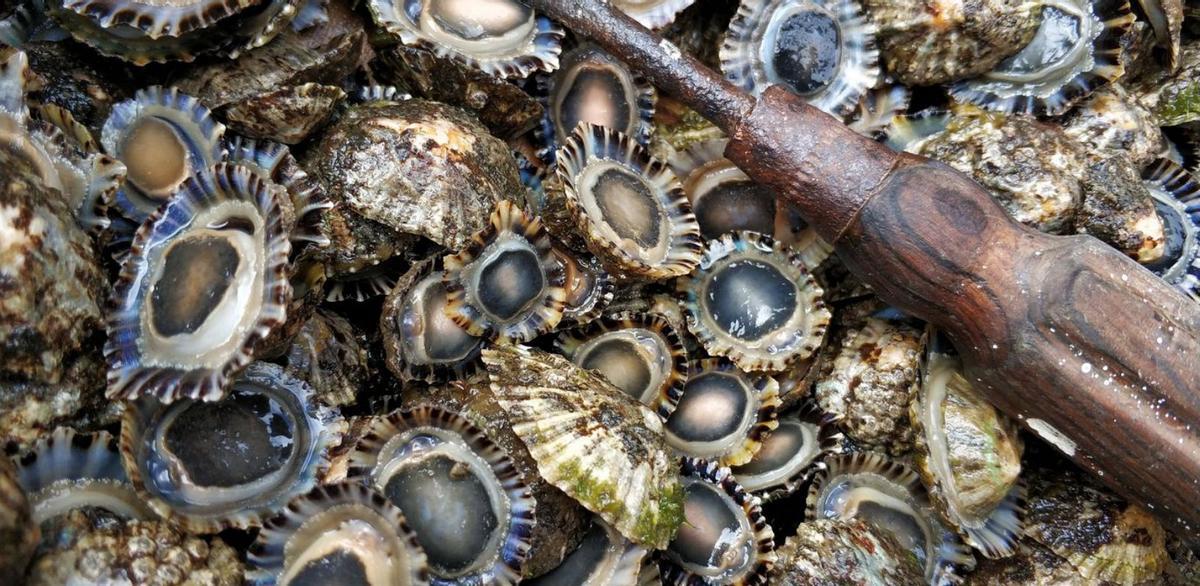 La llámpara, un manjar maliayés que disfruta todo el mundo - La Nueva ...