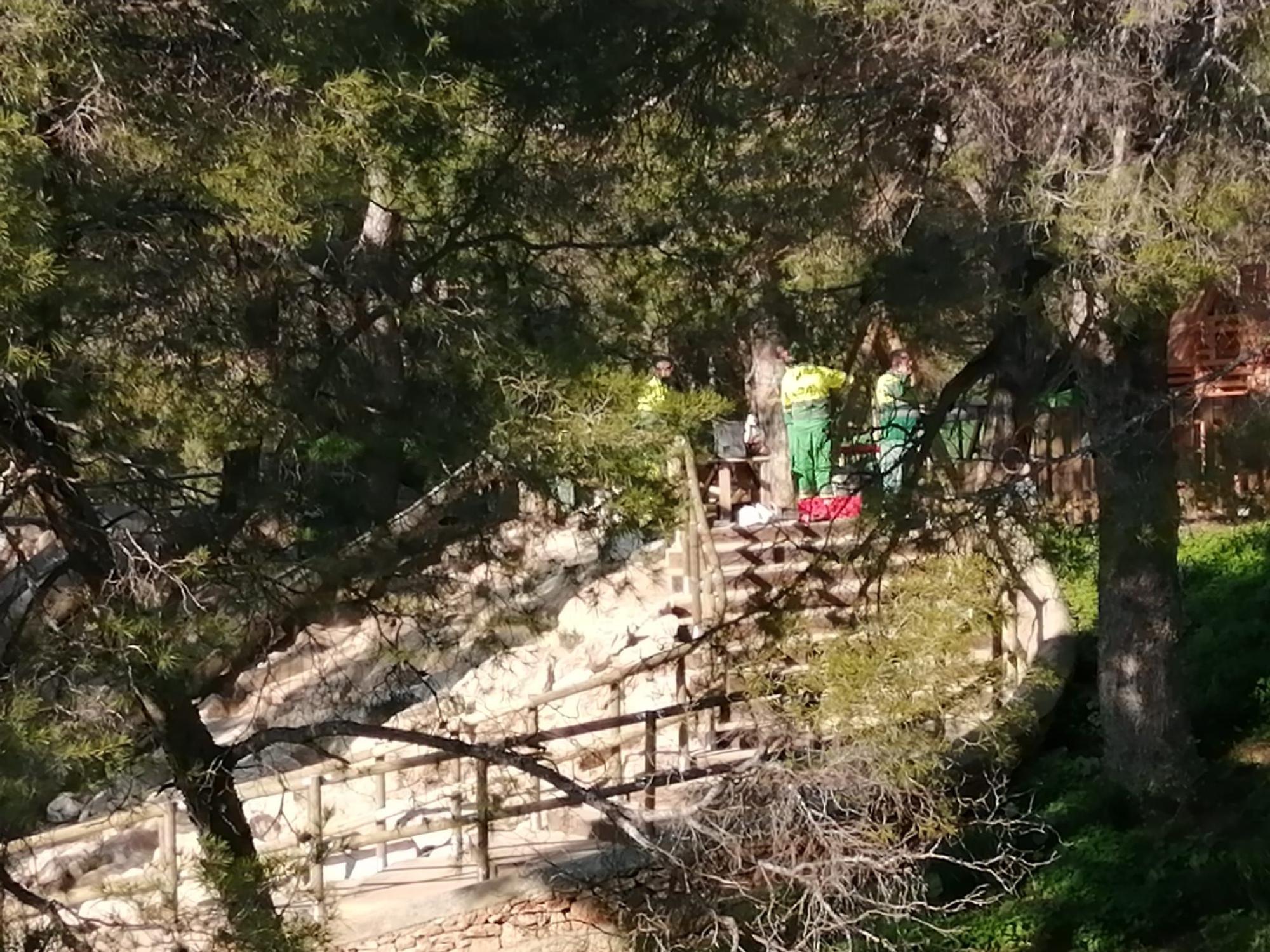 Recta final del parque de aventuras de Bellver - Diario de Mallorca
