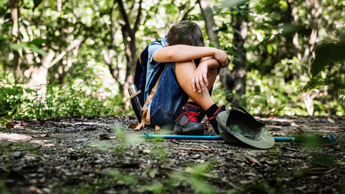 Abandona en un bosque de noche a su hijo de 9 años: descalzo, sin ...