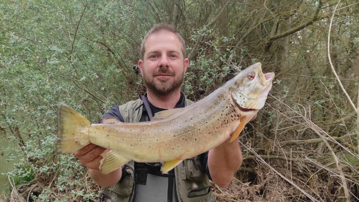 TRUCHA ENROME EN ASTURIAS | Sale del Nora una trucha de casi tres kilos ...
