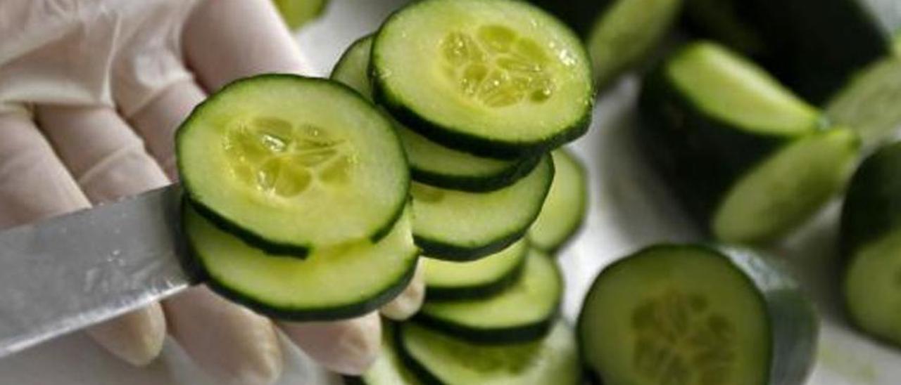 Un hongo para atrapar hierro y ayudar al crecimiento del pepino