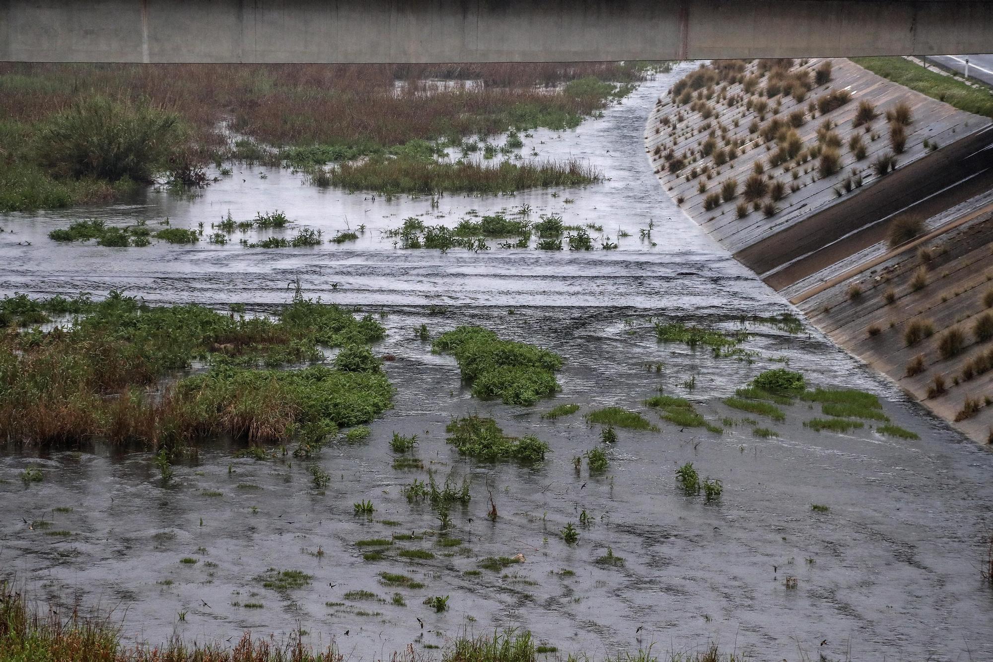 El nuevo cauce del río Turia lleno, de nuevo, por el temporal de ...