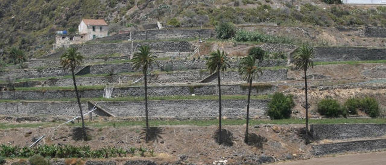 Claves para 'domesticar' una ladera - La Provincia