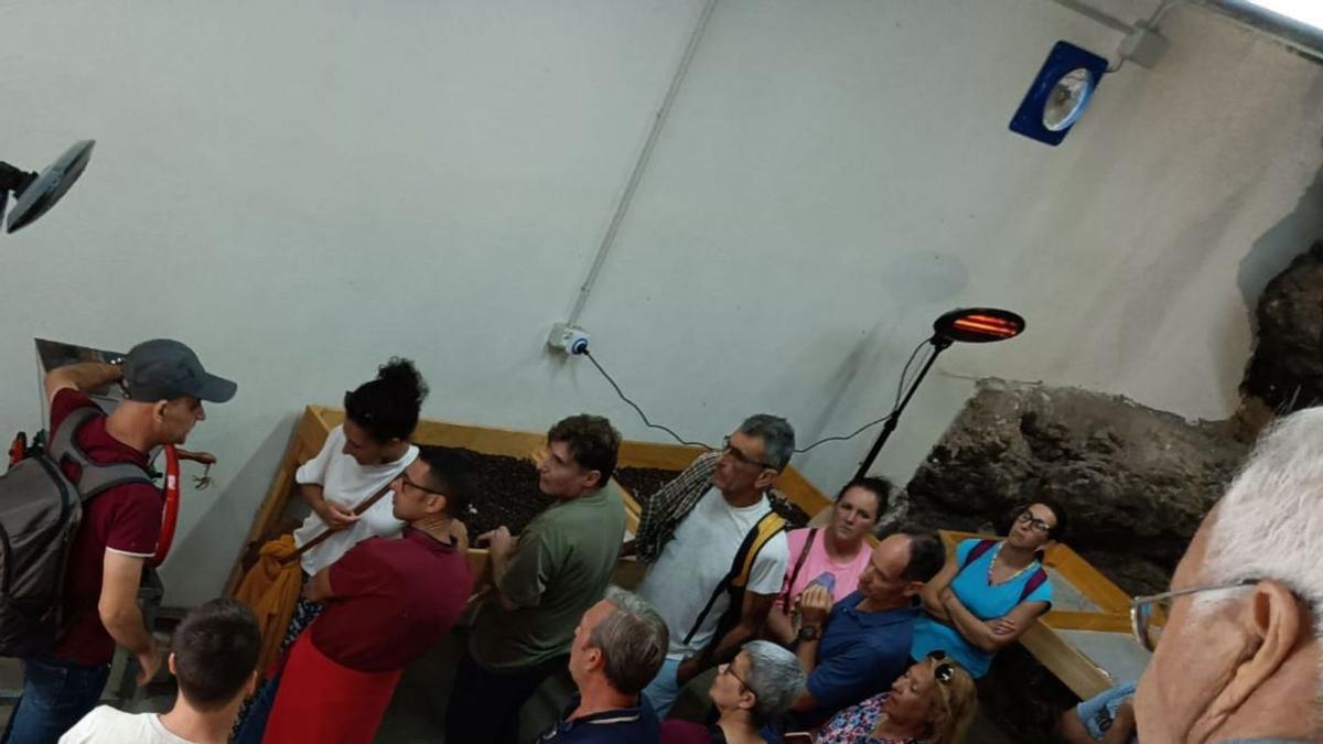 Café con aroma de Anaga - El Día