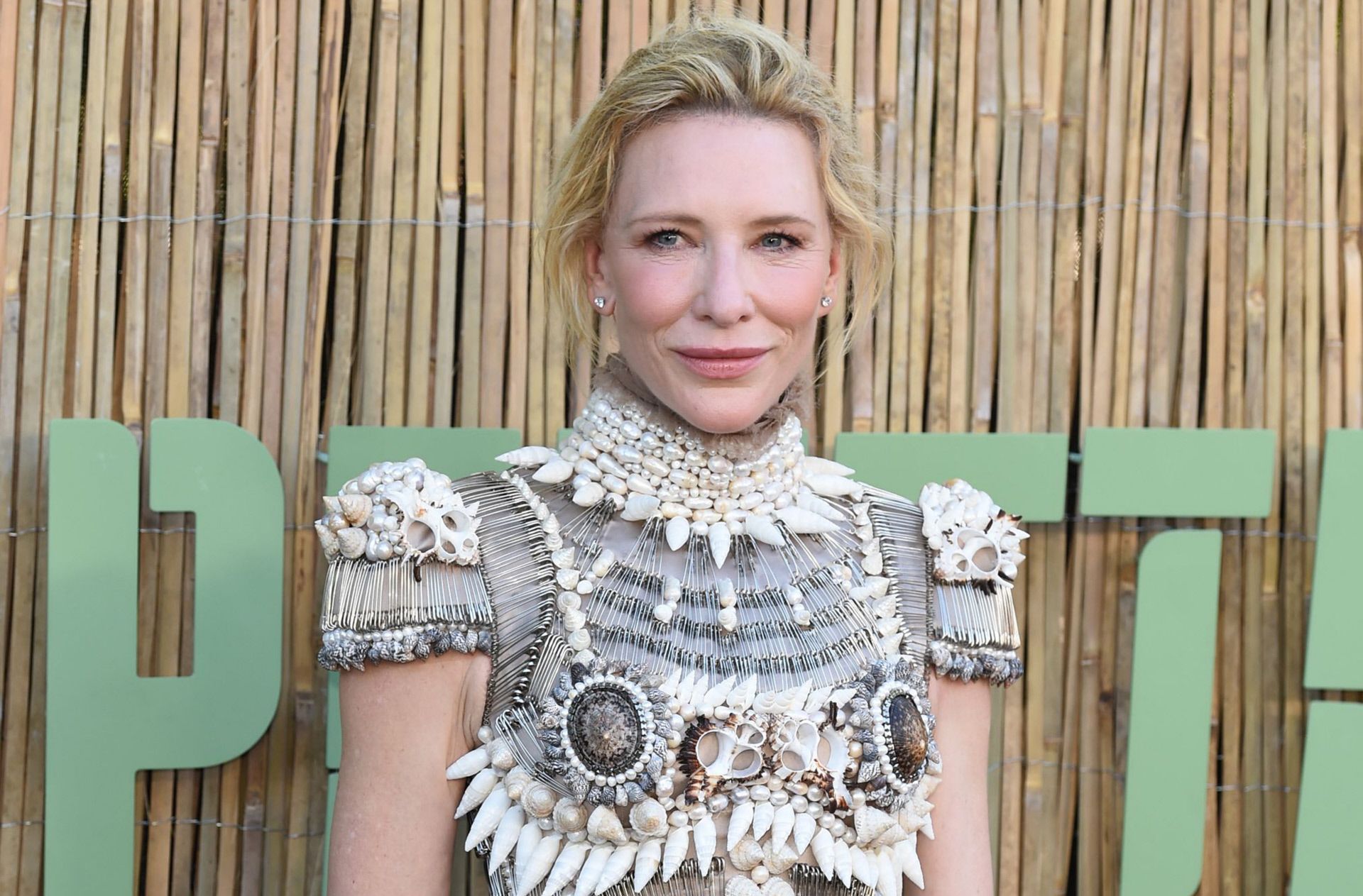 INTEGRACIÓN CANAS CATE BLANCHETT QUÉ ES: Hablemos de la integración de ...
