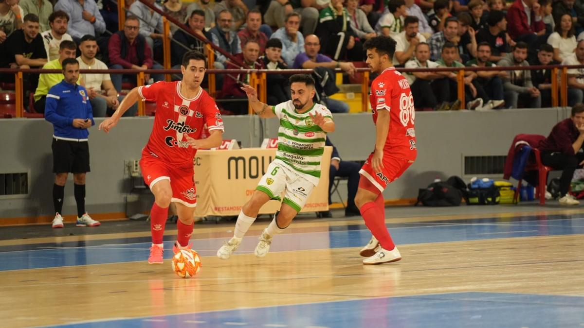 Crónica Córdoba Futsal - Jimbee Cartagena | El Córdoba Futsal sigue ...