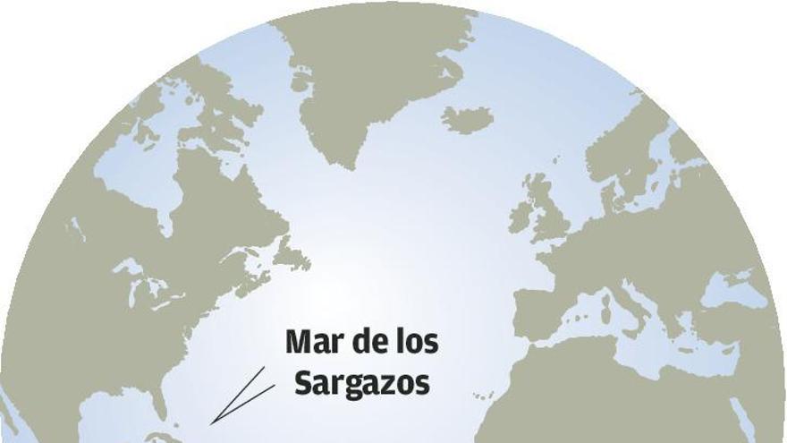 Sargazo, la amenaza del Caribe