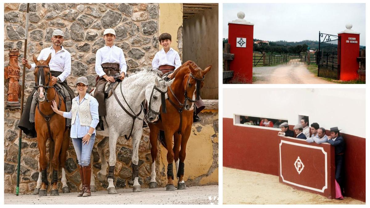 GANADERÍA DE TOROS CON HISTORIA | El ganadero de Borriol, Daniel Ramos ...