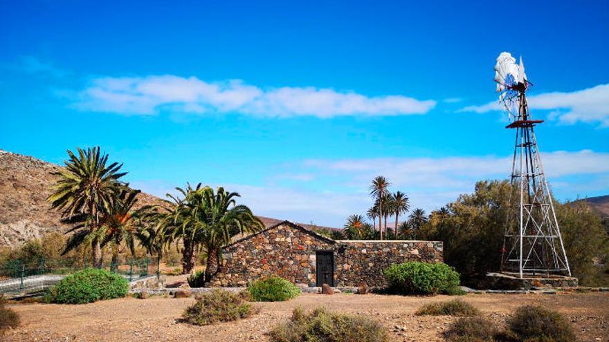 La última tenería del Archipiélago