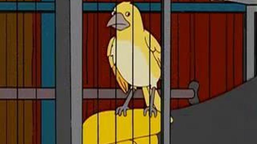 Día Mundial de Los Simpson | Canarias salió en Los Simpson