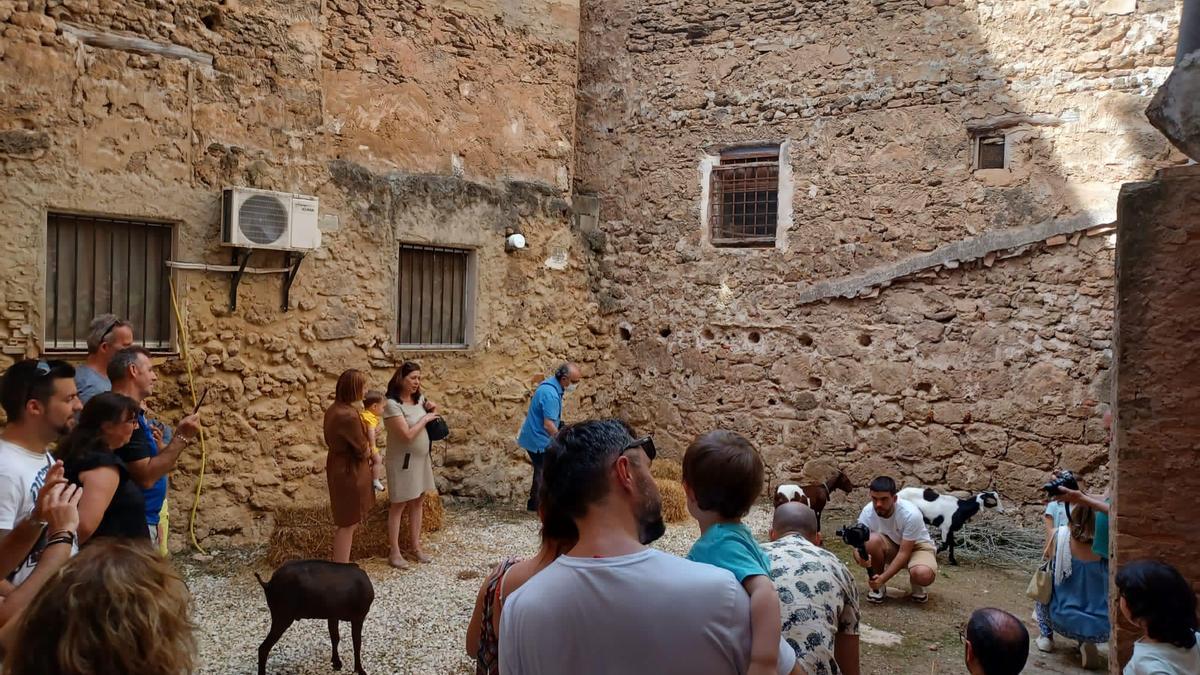 FERIA QUESO: Chelva organiza la segunda feria del queso Quesalia para ...