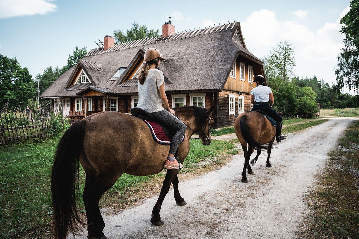 Estonia: el increíble país de las 2.000 islas - Viajar