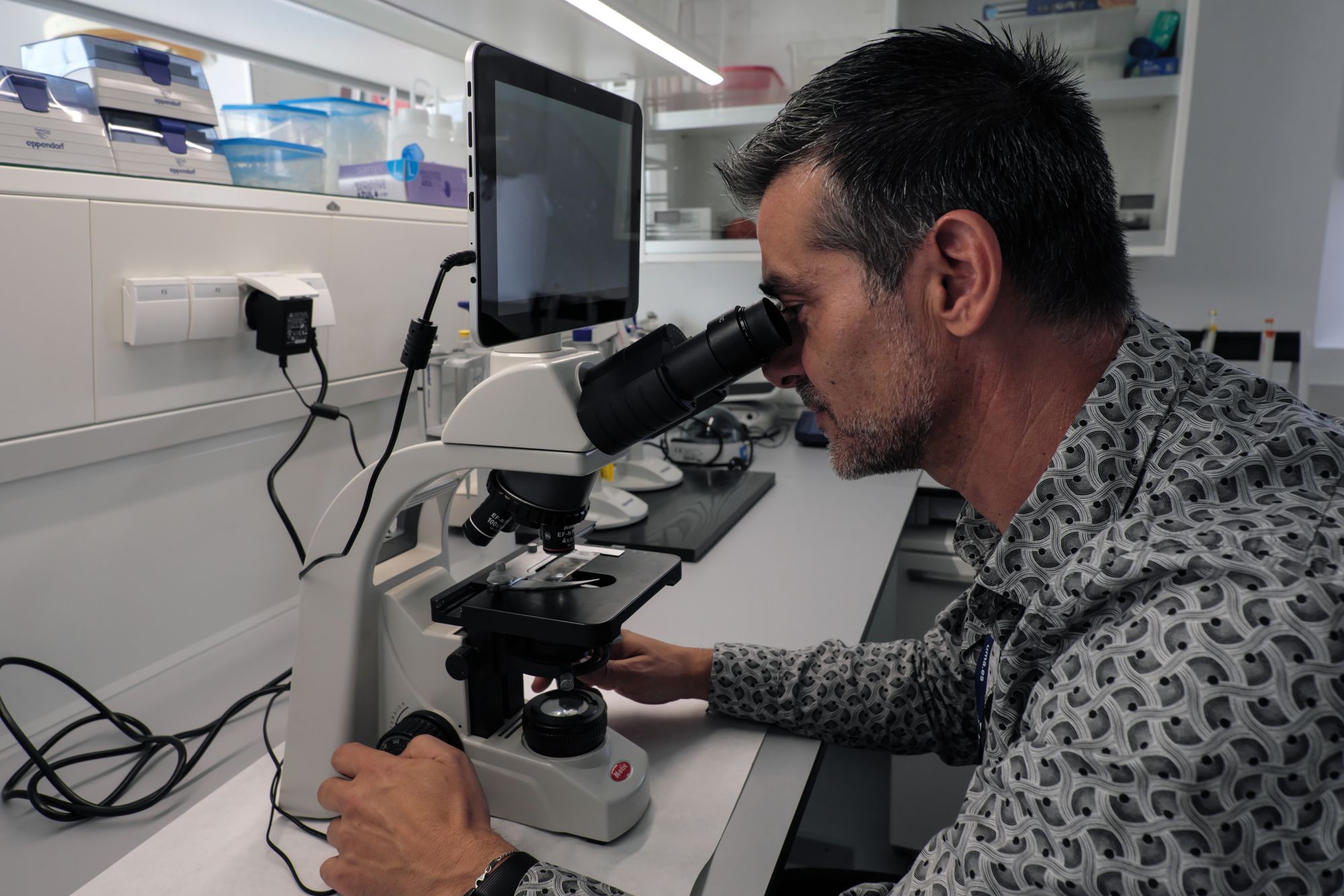 La nueva facultad de Psicología y Logopedia de la Universidad de Málaga ...