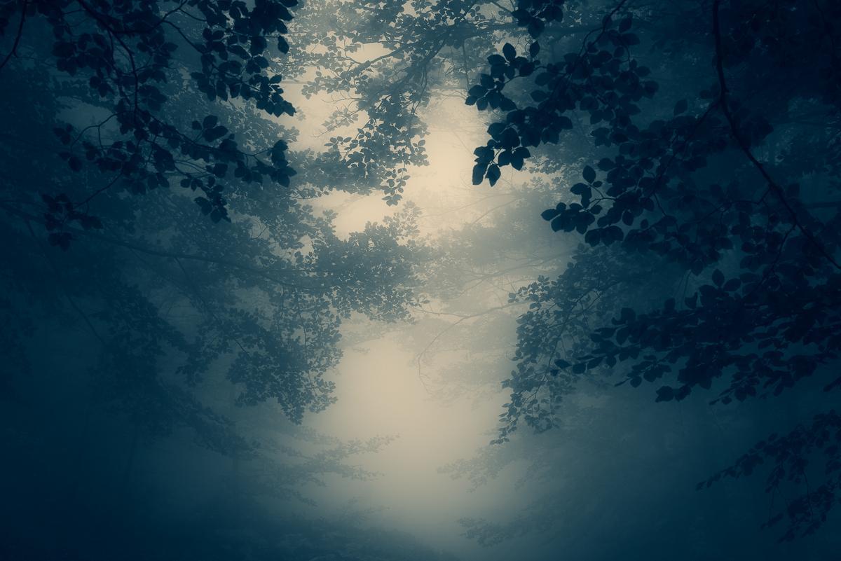 Festimatge 2023. Festival de la imatge de Calella | FOTOS