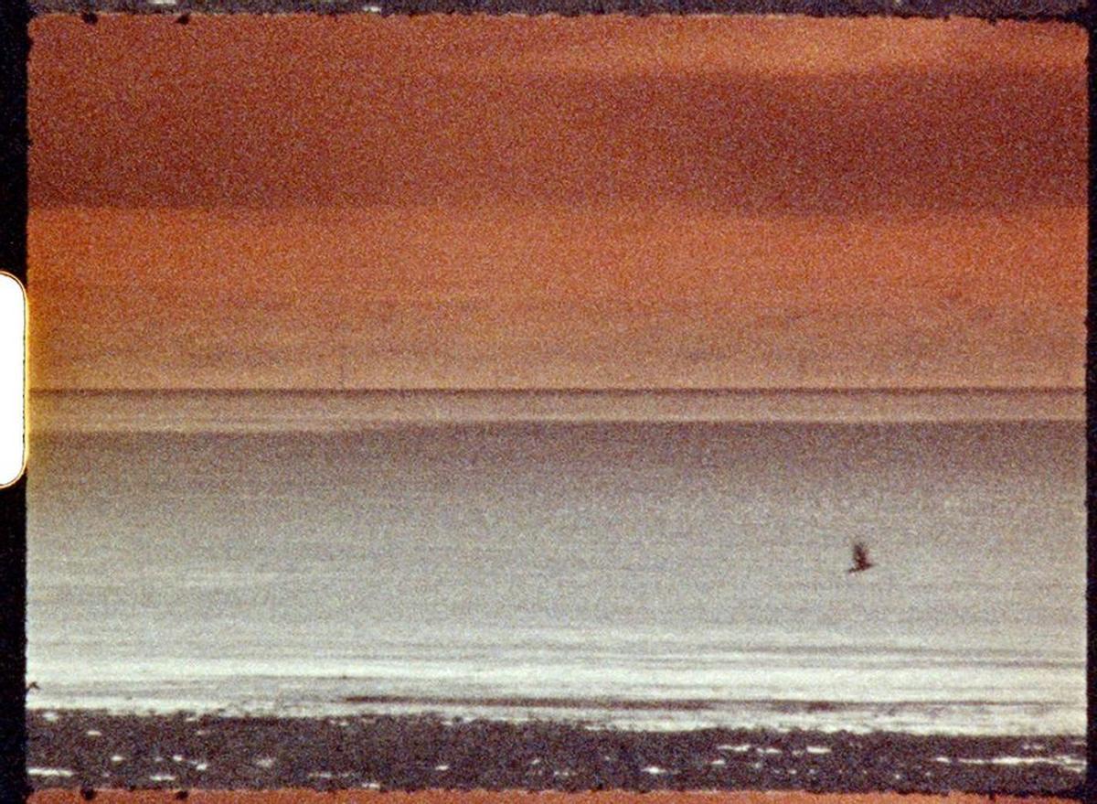 Cultura Resident 2024 | El Museu de Belles Arts de Castelló, un ...