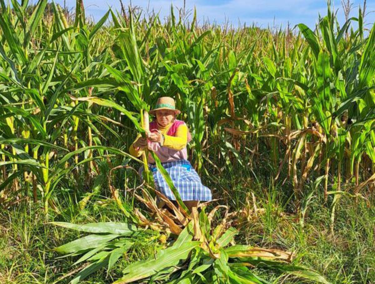 Rois, o pioneiro galego na defensa da muller rural