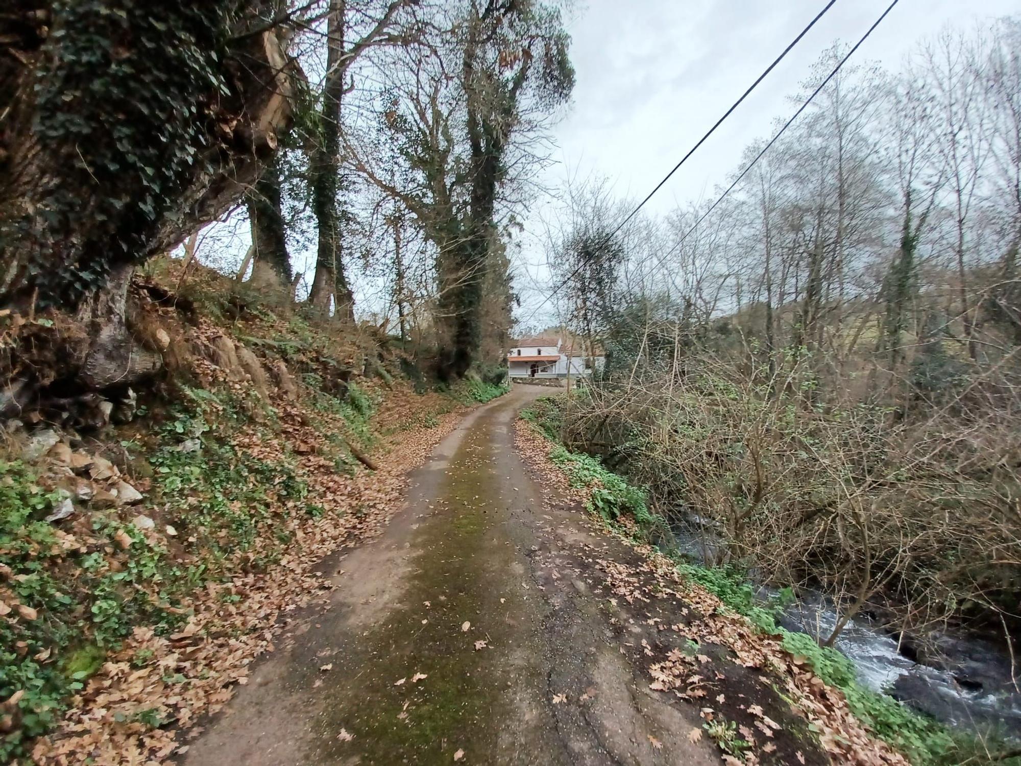 La ruta del bosque viejo de Báscones, un baño de historia y naturaleza ...