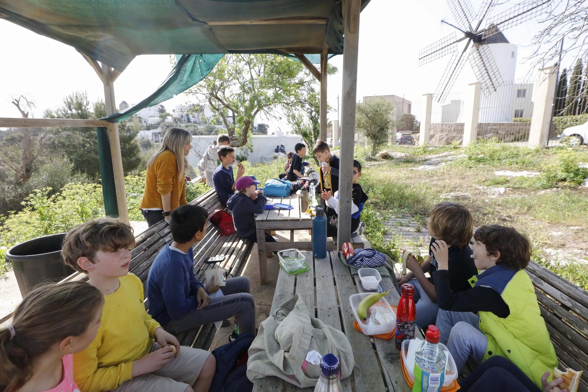 Galería de imágenes del taller se Semana Santa sobre los fenicios en Es ...