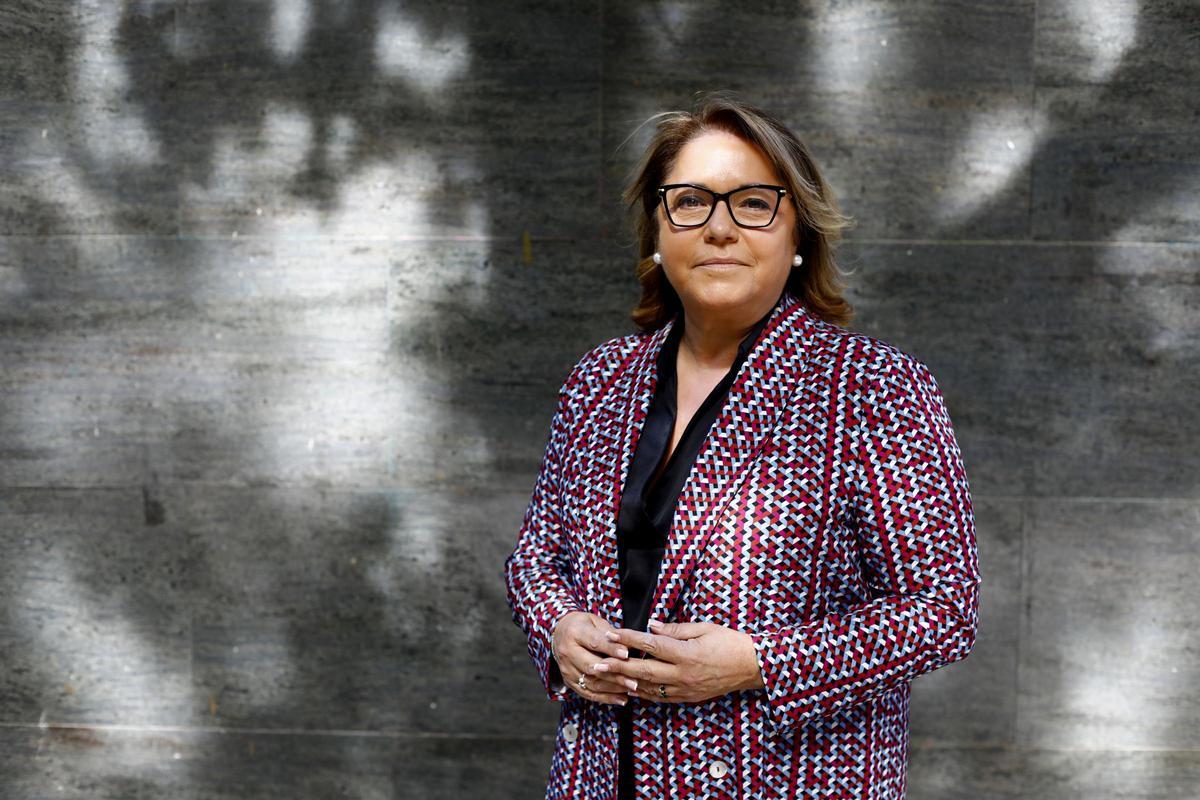 Rosa Serrano (PSOE): "La sociedad debe entender los riesgos que tiene ...