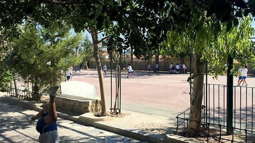 Conoce el colegio CEBAT, un vergel donde aprender - Información