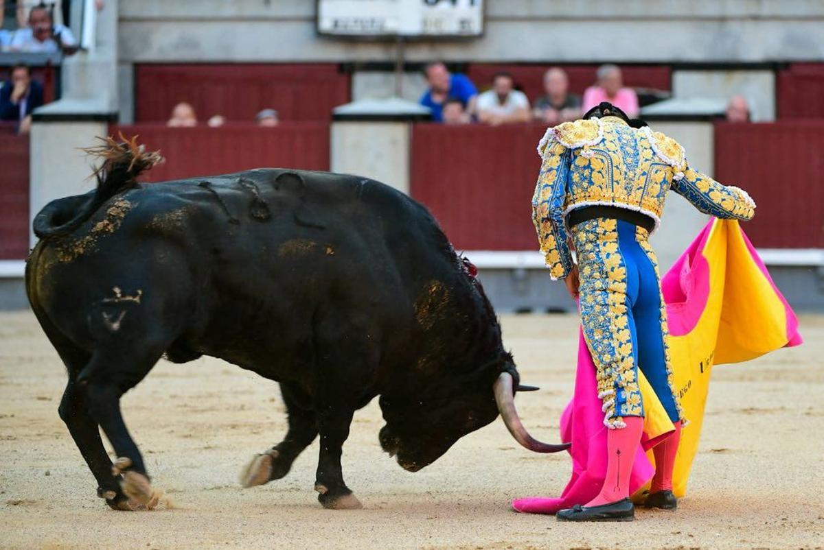 Diego Urdiales sueña el toreo: puerta grande en San Isidro frente al ...