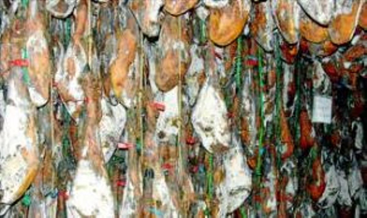 Jamón extremeño en cuatro continentes