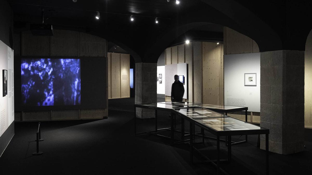 Exposición «Rodoreda, un bosque» sobre Mercè Rodoreda en el CCCB