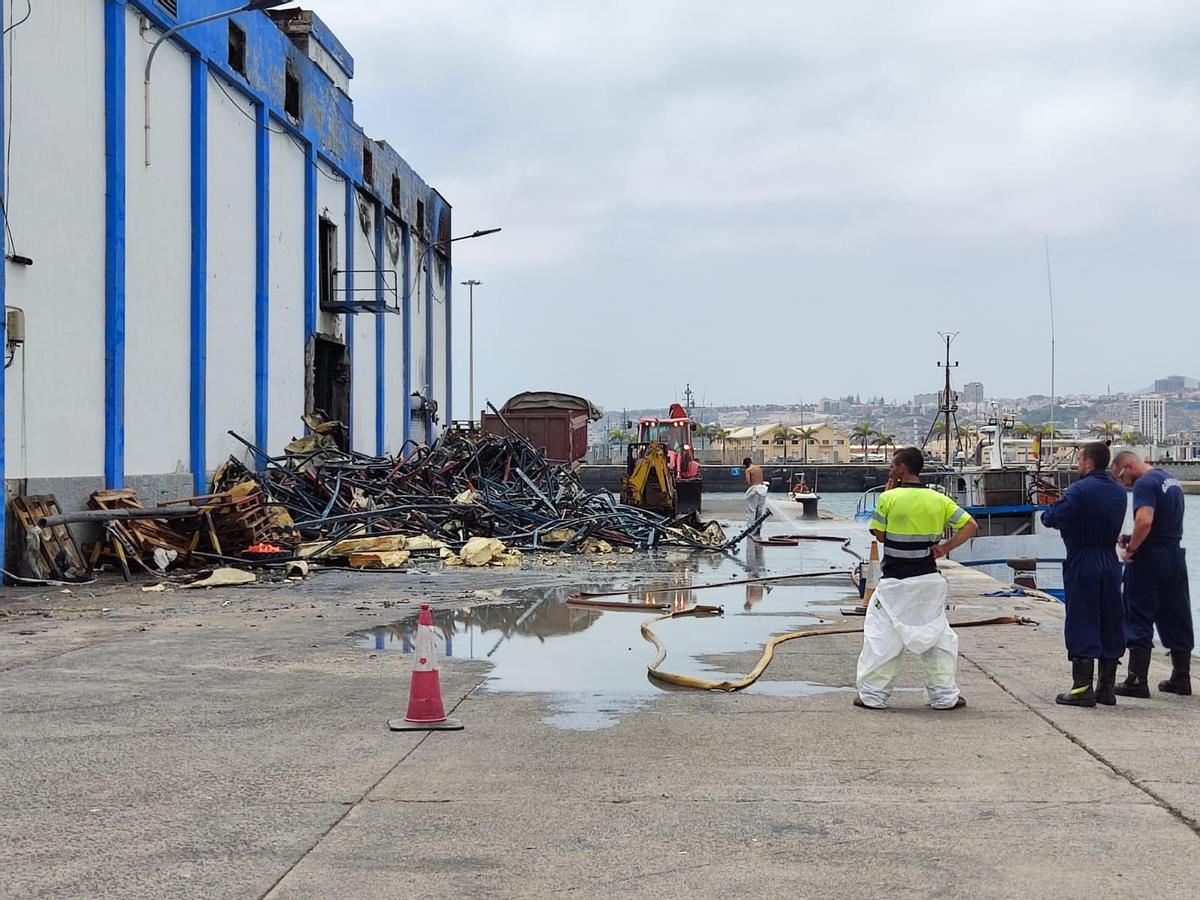 Frisu tira comida congelada por valor de 1,5 millones contaminada de ...