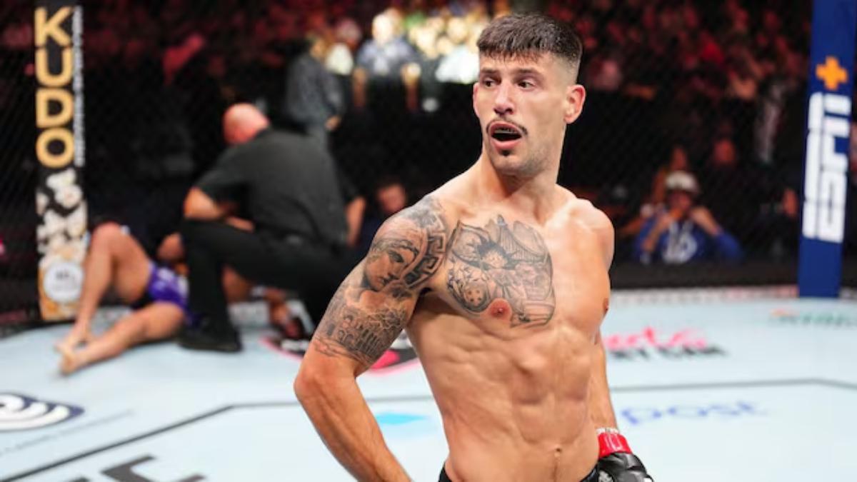 UFC | Joel Álvarez culmina el año dorado de las MMA españolas con un KO ...
