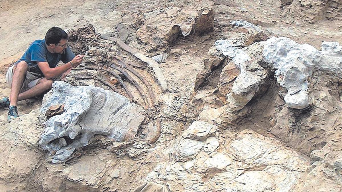 Garumbatitan, el nuevo dinosaurio gigante - La Opinión de Murcia