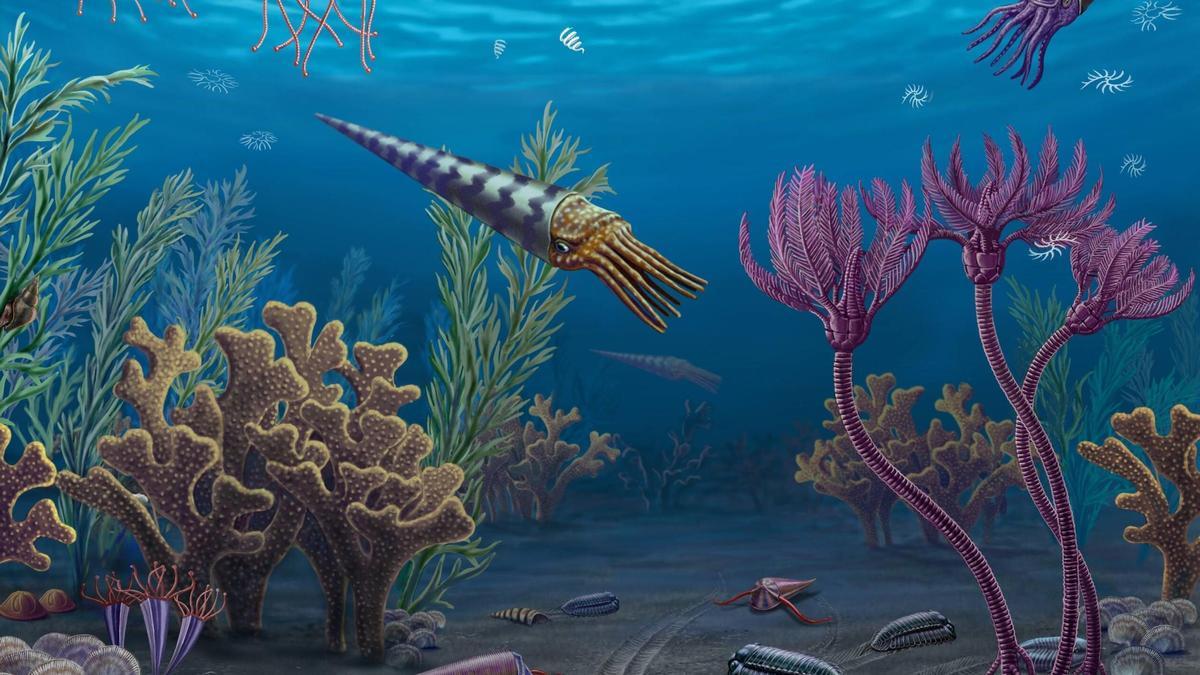 ¿Cuáles han sido las cinco extinciones globales del planeta? - Información