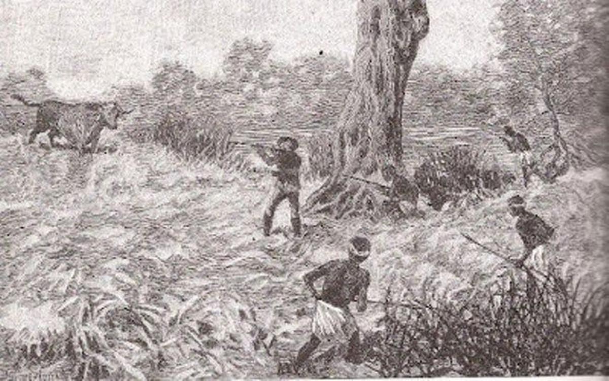 El África de Manuel Iradier - Viajar