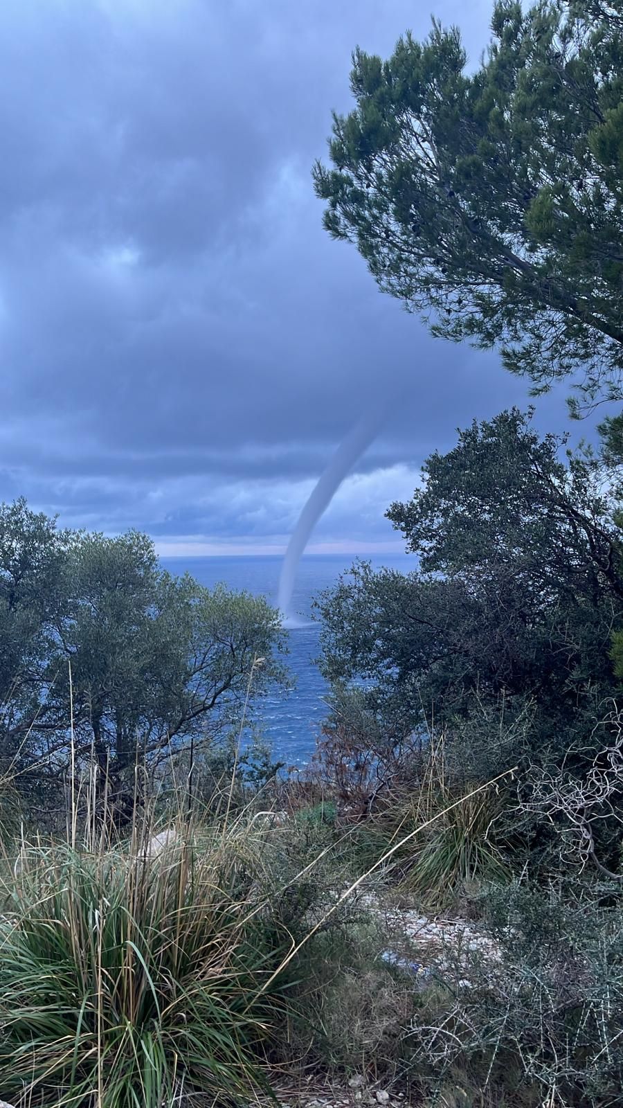 El paso del cap de fibló por la zona de Deià, en imágenes - Diario de ...