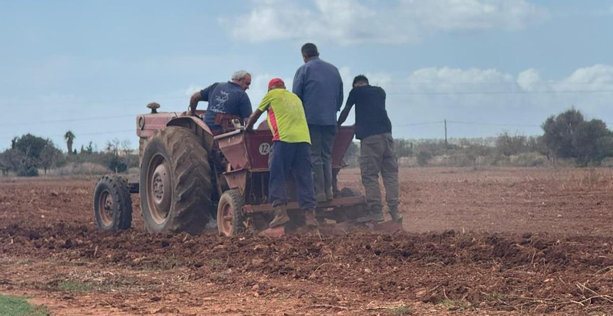 Balcó de Cabrera: quan el camp puja a taula