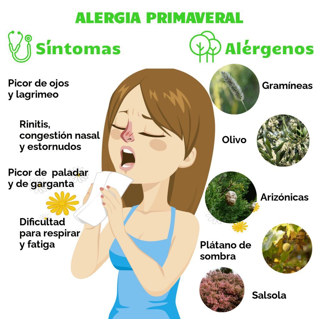 Alergia primaveral: Síntomas y tratamiento