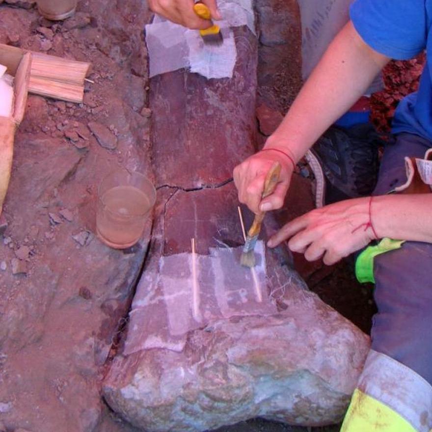 Huellas de saurópodo: otro increíble hallazgo prehistórico en Morella ...