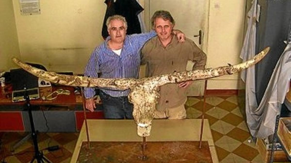 Descubierto en Eritrea el toro más antiguo del mundo - El Periódico