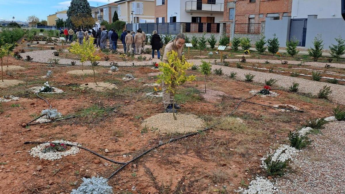 De vertedero a oasis verde: así se ha creado un laberinto ecológico en Castellón