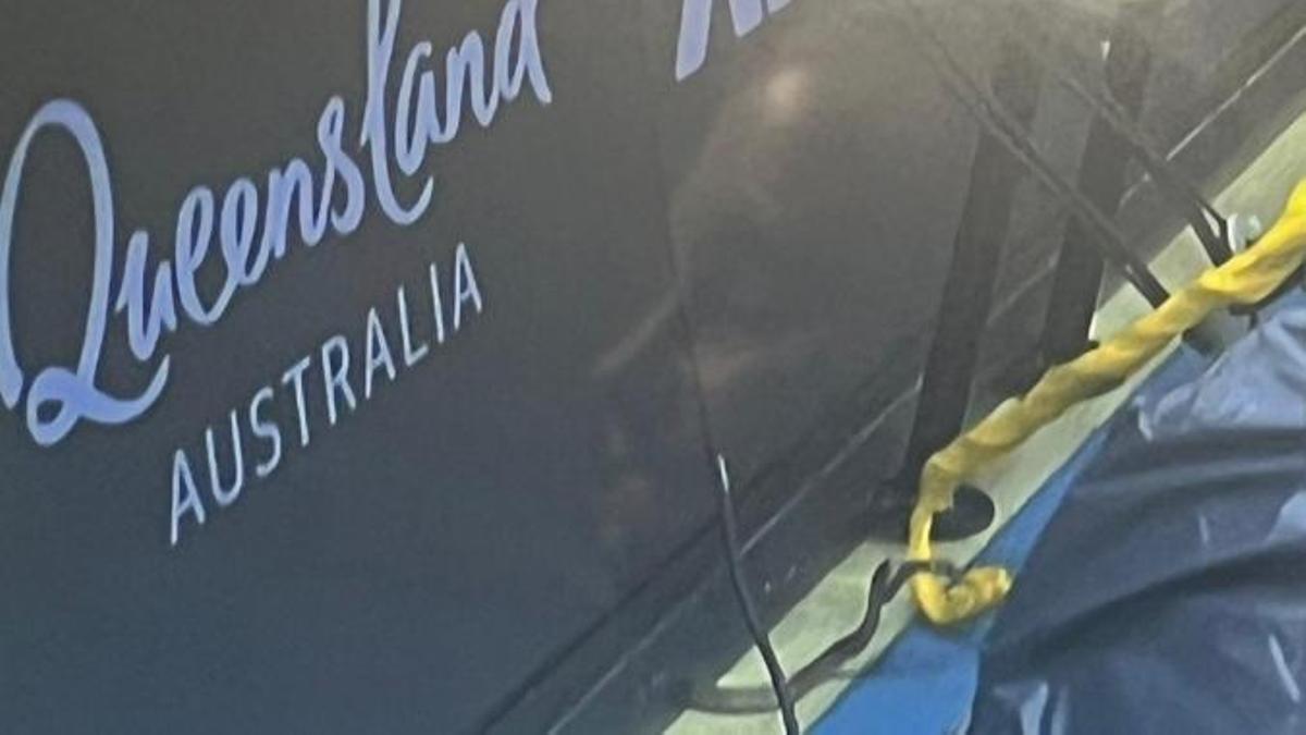 SERPIENTE TENIS ATP | Una serpiente interrumpe un partido del torneo ATP de Brisbane