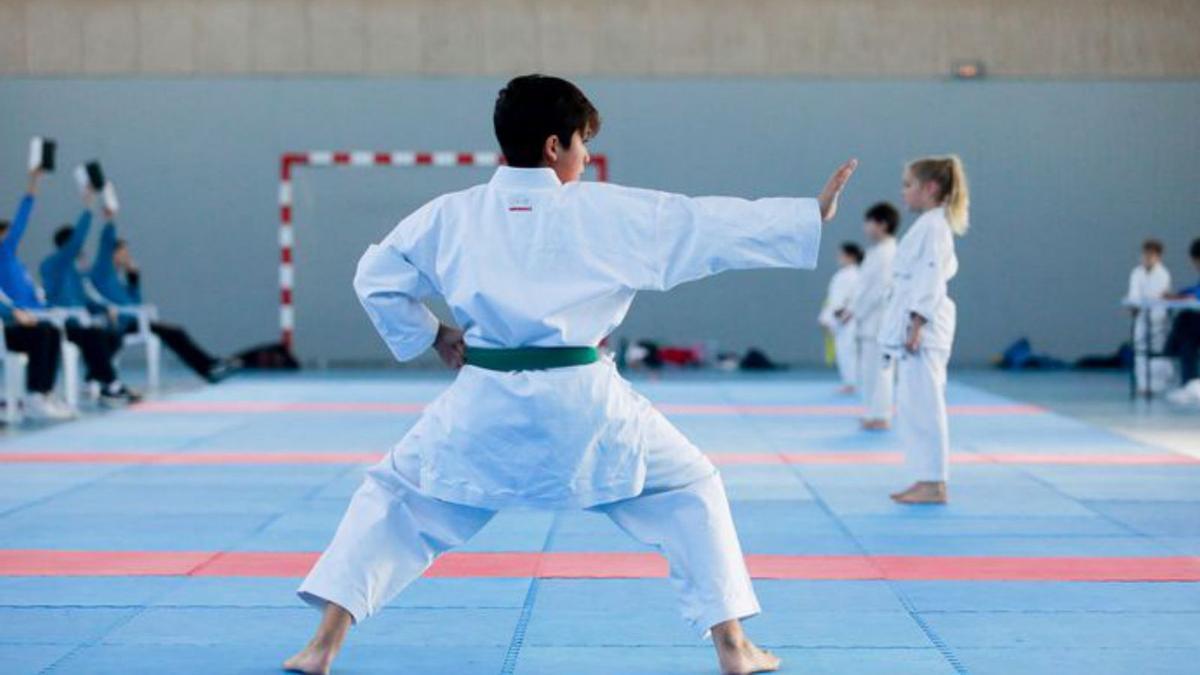 Los jóvenes karatecas de la isla de Ibiza lucen técnica - Diario de Ibiza