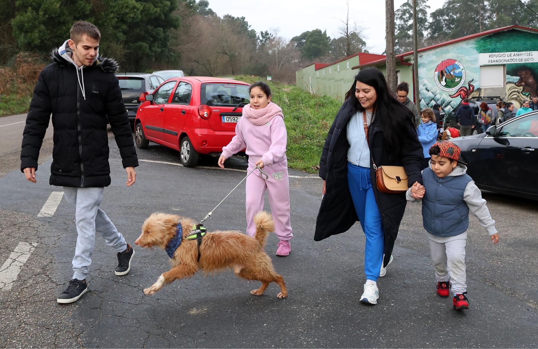 PASEO DE PERROS PERRERA VIGO: Un paseo de esperanza para los perros de ...