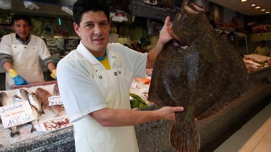 Un rodaballo de 13 kilos, en una pescadería de Sabugo